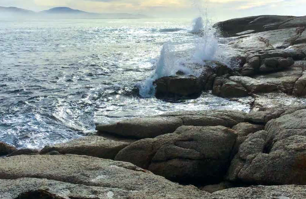 Exploring the Island