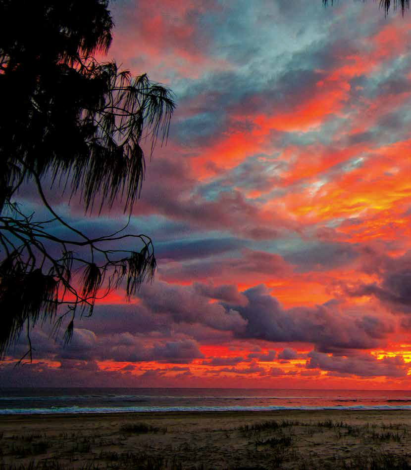 Surviving a Summer Scorcher