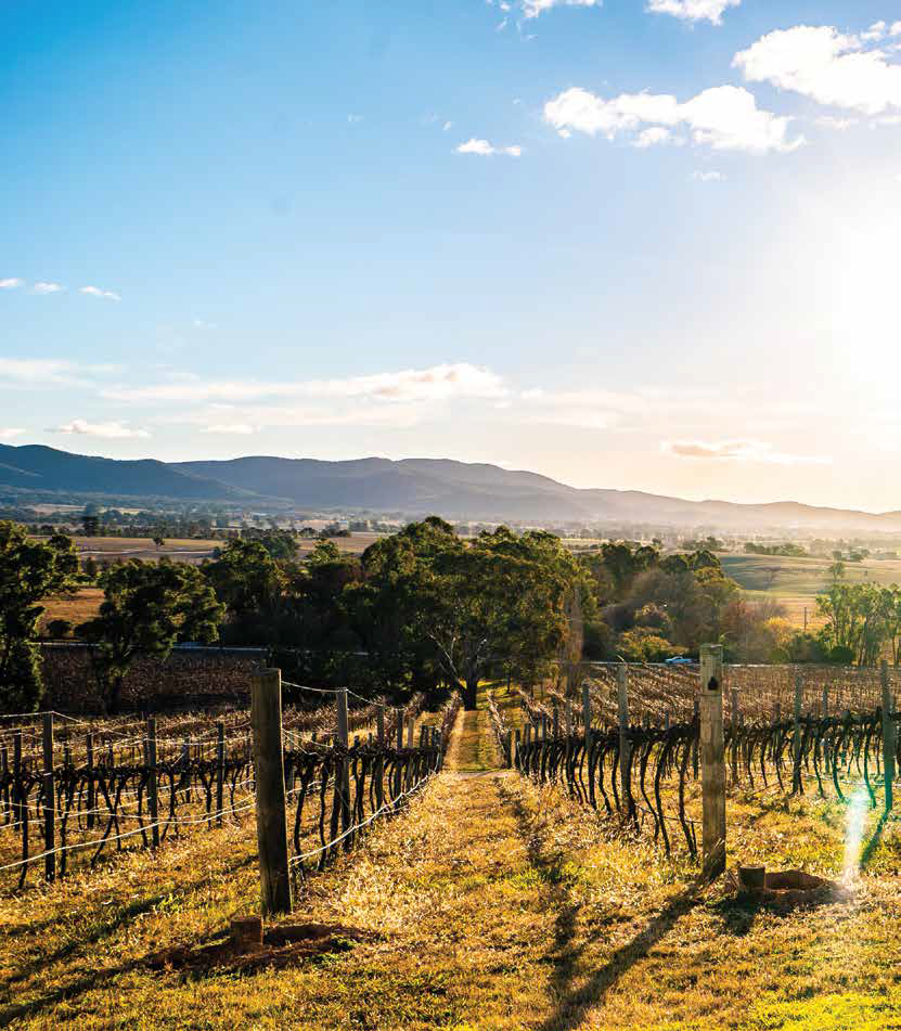 Making the Most of Mudgee