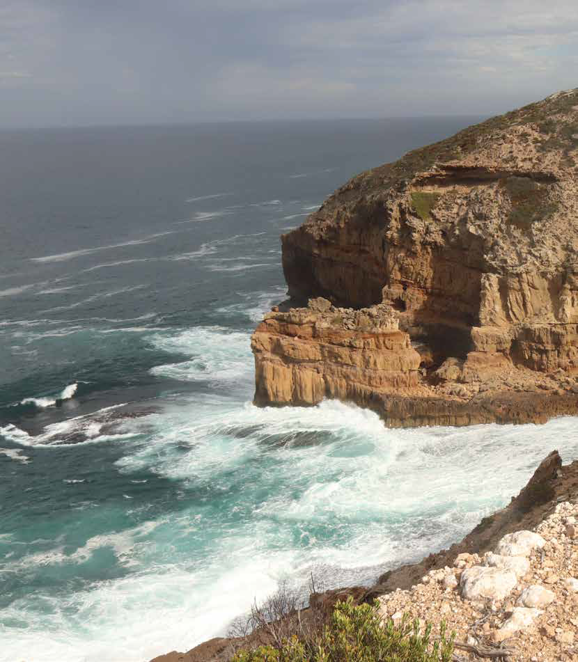 Clifftop Curiosities
