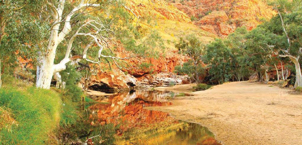 Dry Country Dreaming