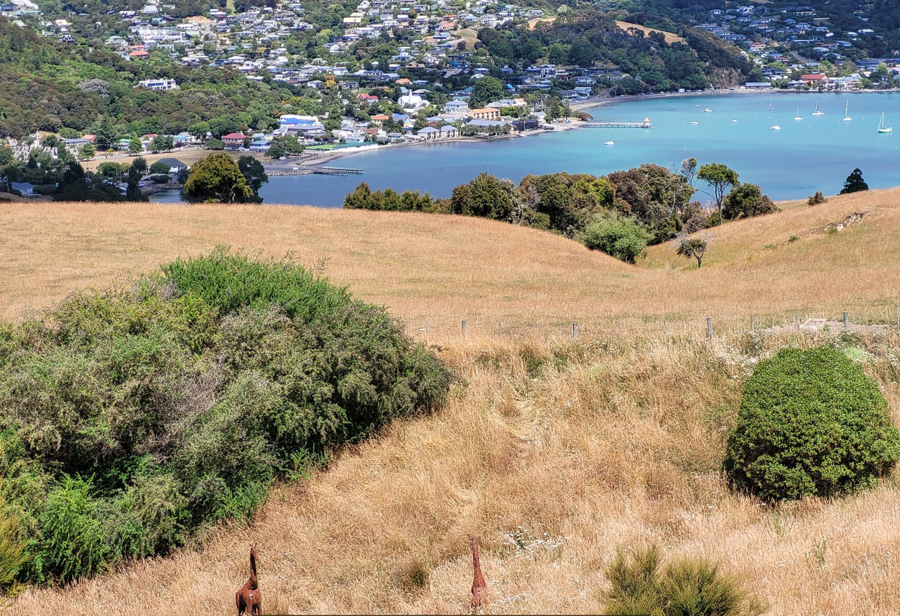 New Zealand Motor Caravan Association (NZMCA)