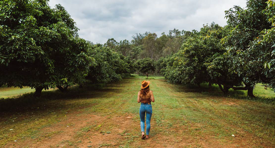 Loving the Lockyer Valley
